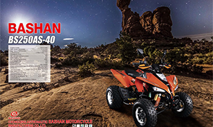 ATV Bashan motorcycle